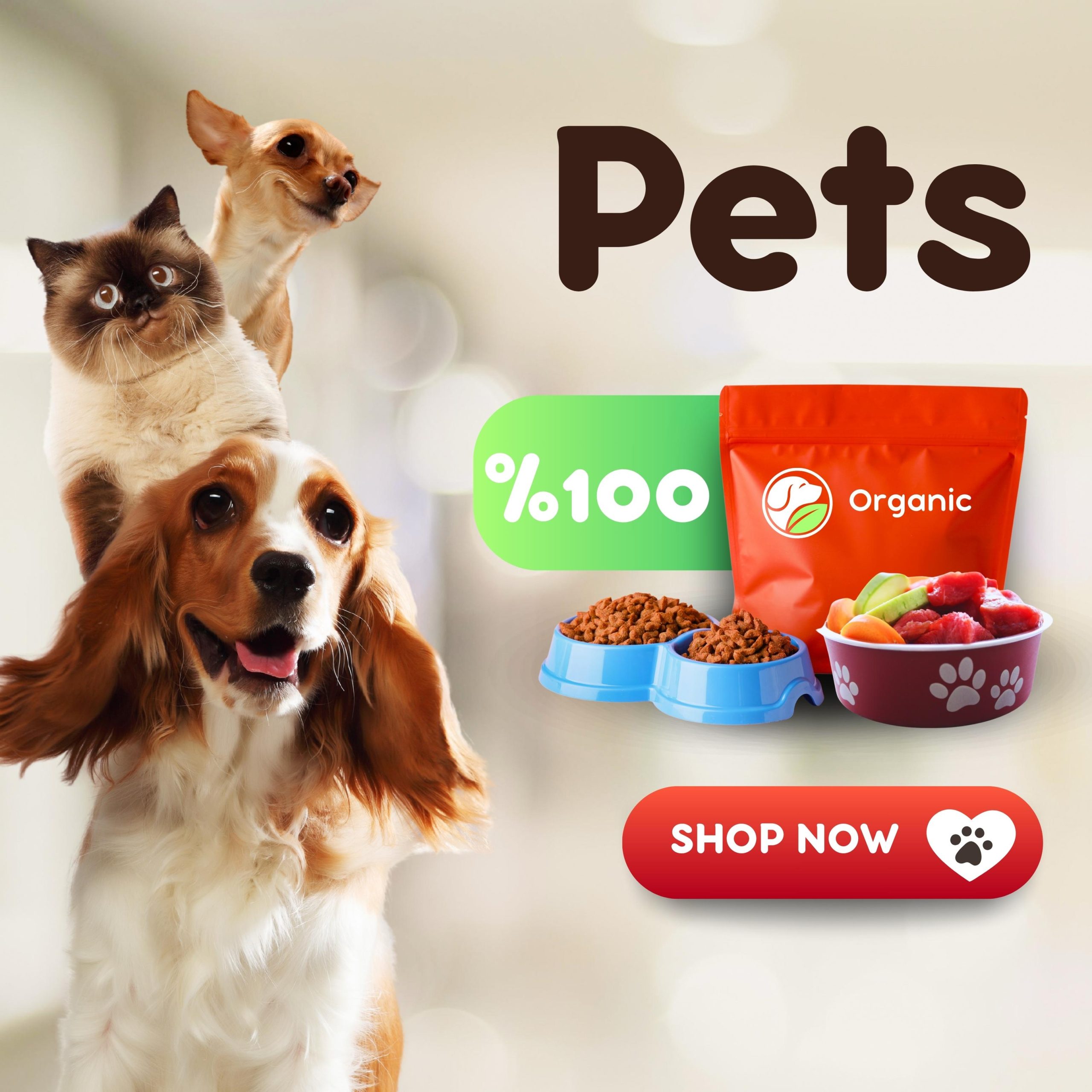 Bring2 - Quick Delivery Service in 30 minutes in Bournemouth